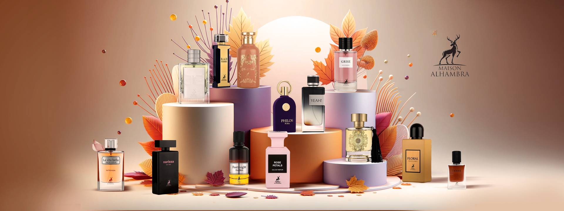 Silkperfumes.cl Perfumes Originales en Chile 70% Dscto + Envíos Gratis ...
